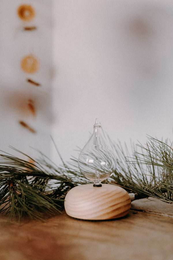 Mikaël Zayat : huiles essentielles pures pour bien-être et harmonie – Douceur Corps & Âme